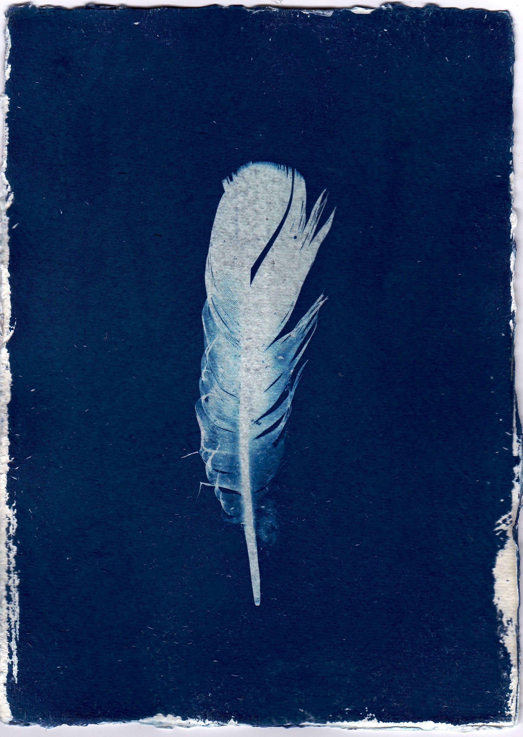 Photography Projects at Home: Cyanotypes