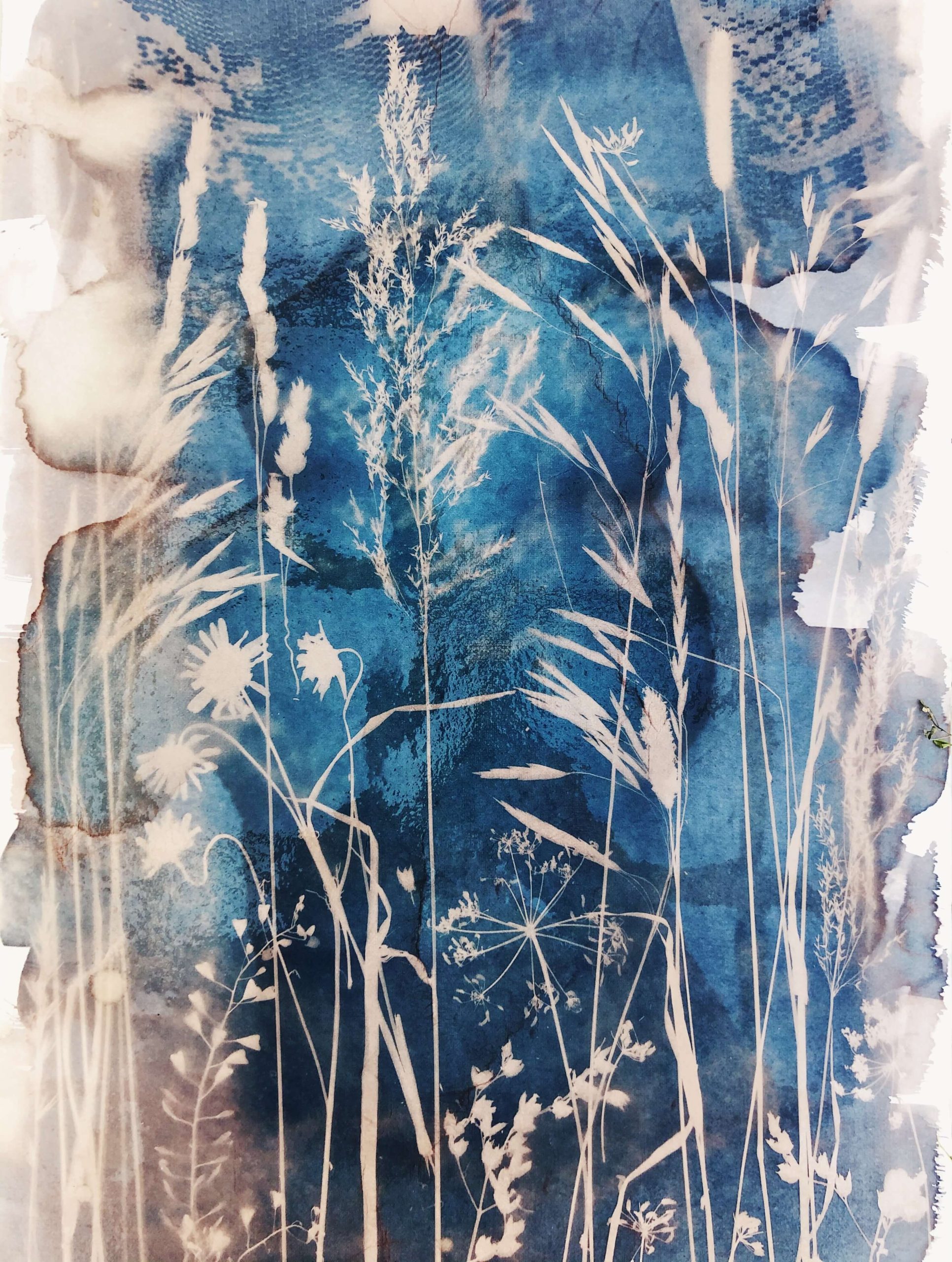 Photography Projects at Home: Cyanotypes